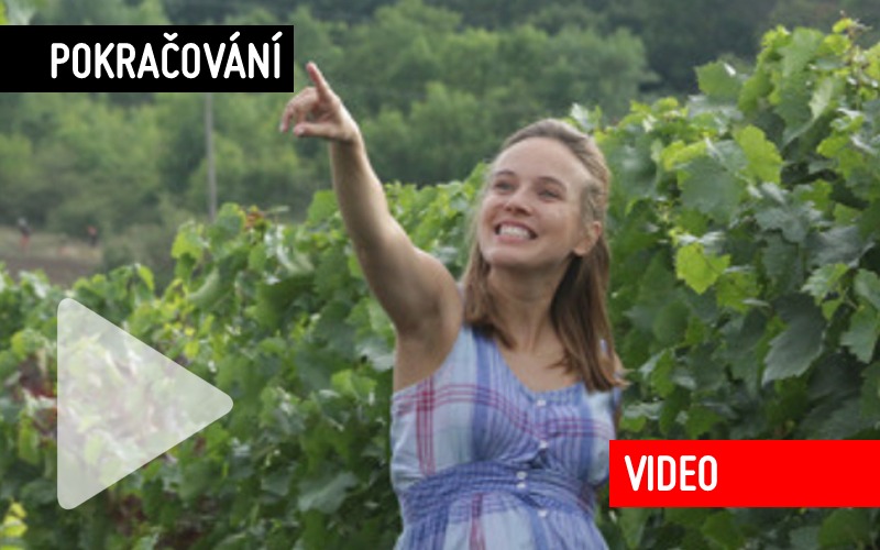 Bobule dorazí do třetice už za měsíc (nové video) | Totalfilm.cz